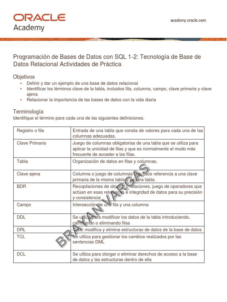 DP - 1 - 2 - Practice - Esp BRAYAN VARGAS | PDF | Base de datos relacional | Modelo de datos