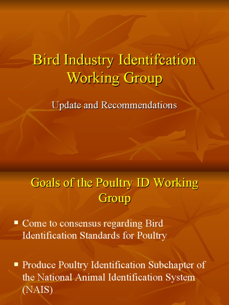 POULTRY | PDF | Poultry | Auction