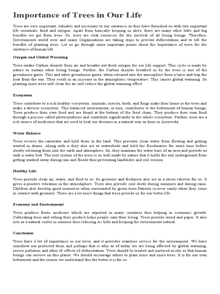 Importance of Trees in Our Lives | PDF | Ecosystem | Trees