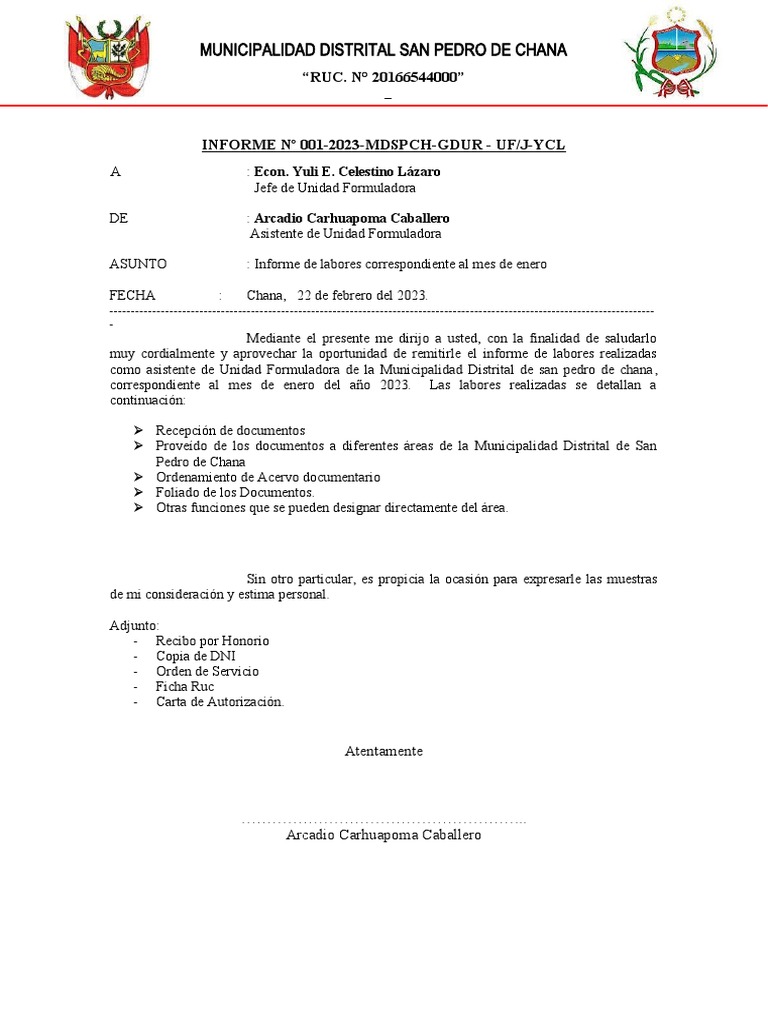 Funciones Del Asistente | PDF