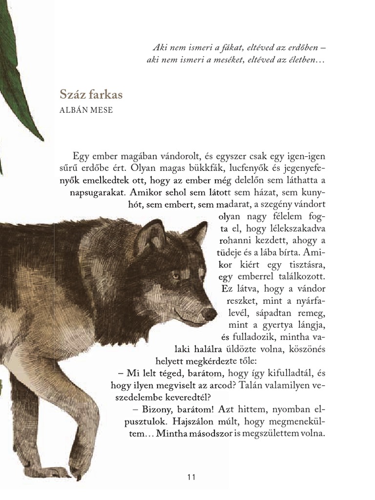 Erdok Mezok Nepmesei - Belelapozo | PDF