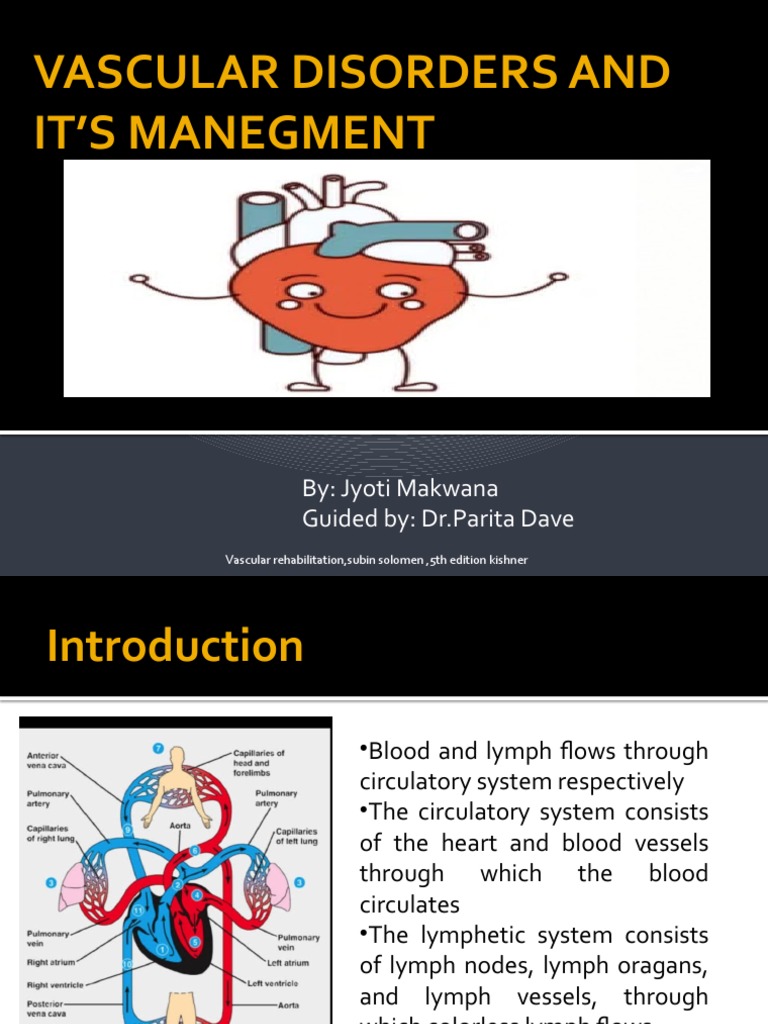 Vascular System | PDF | Lymphatic System | Vein