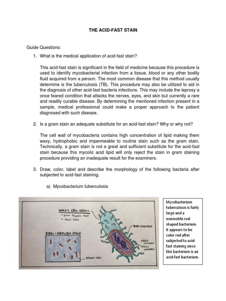 Acid Fast Staining Final | PDF | Staining | Bacteria