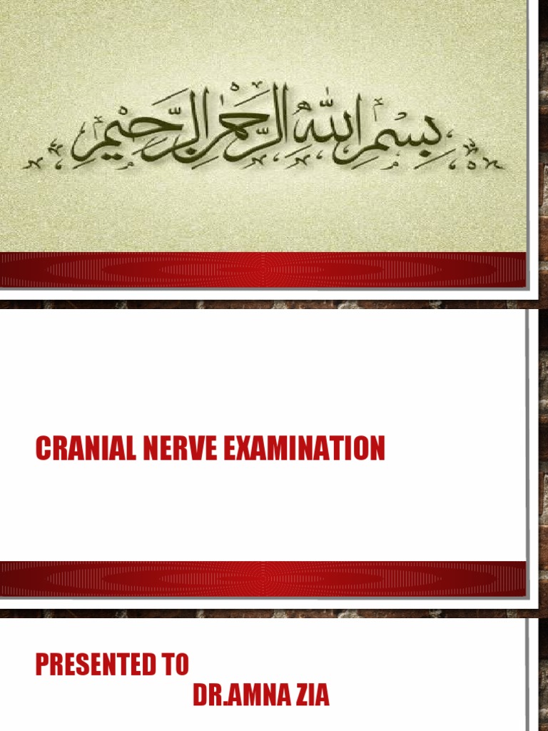 Cranial Nerves Presentation | PDF | Neuroscience | Human Eye