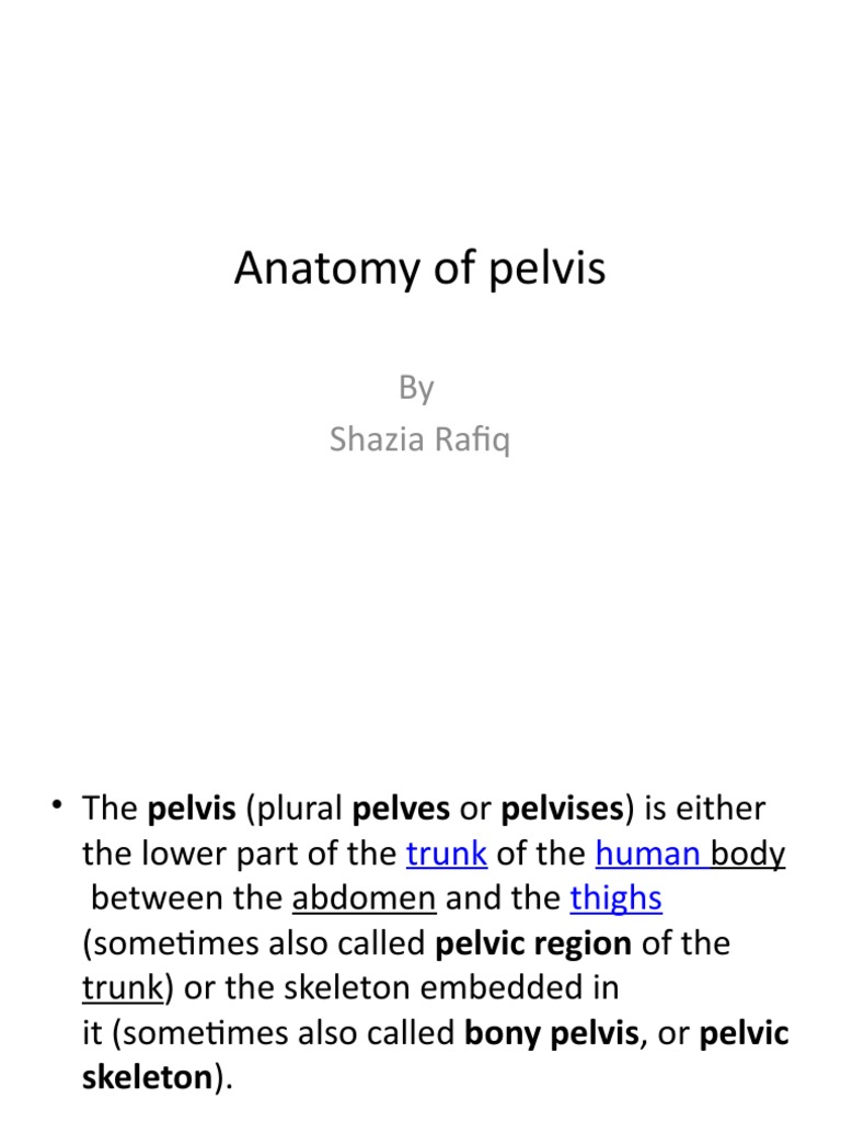 Anatomy of Pelvis Presentation | PDF | Pelvis | Skeletal System