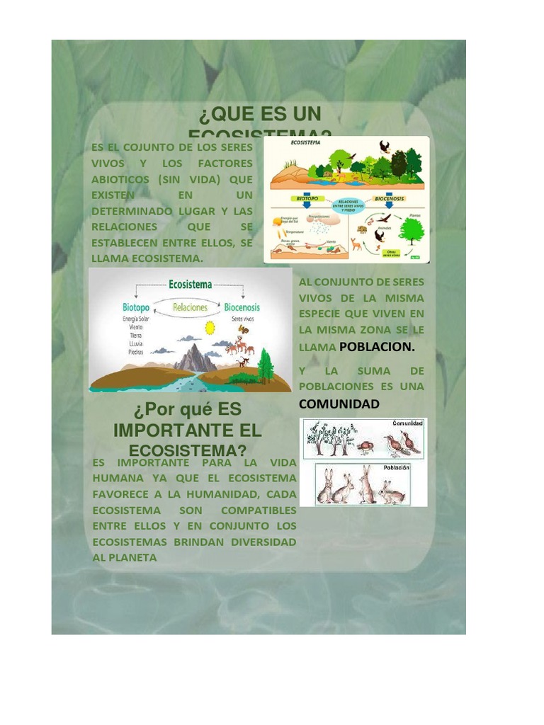 Diptico ECOSISTEMAS | PDF | Ecosistema | Humedal