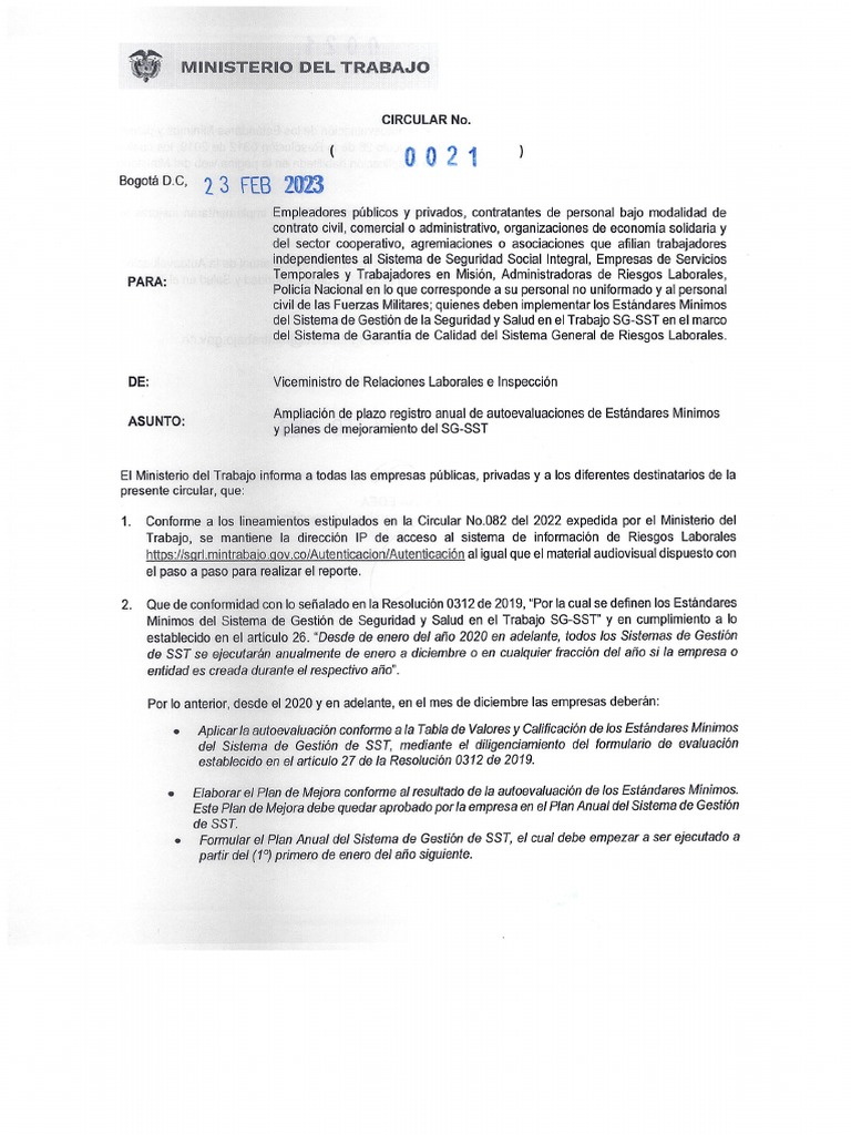 Circular 0021 de 2023 Ampliación Registro Estándares Mínimos | PDF