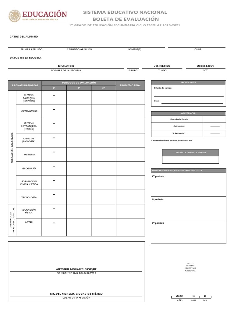 Boletas Ejemplo | PDF