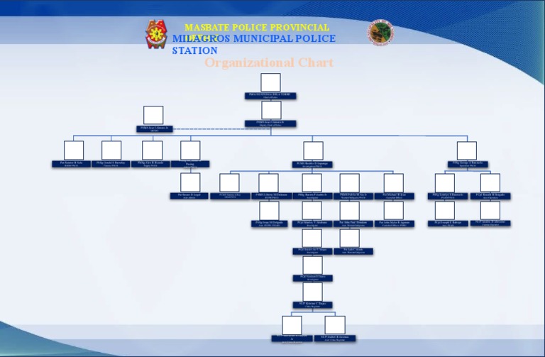 Organizational Chart | PDF