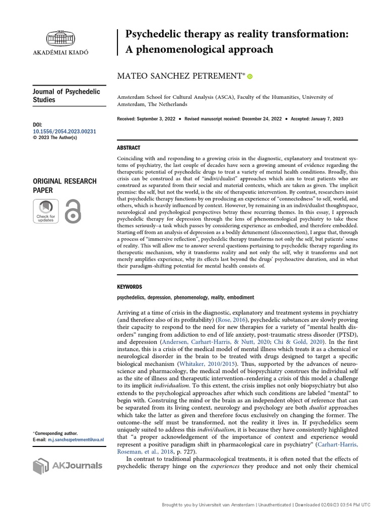Psychedelic Therapy As Reality Transformation: A Phenomenological ...