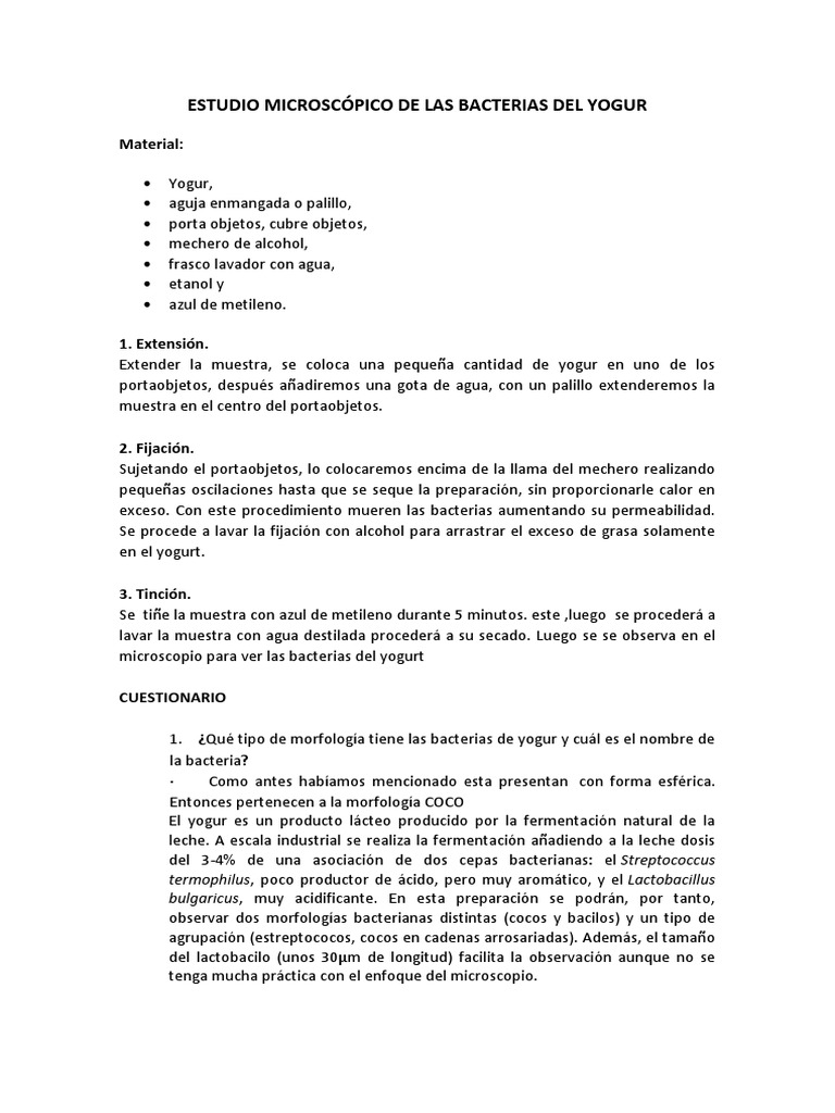 Práctica 4 Bacterias Del Yogurt | PDF | Yogur | Las bacterias