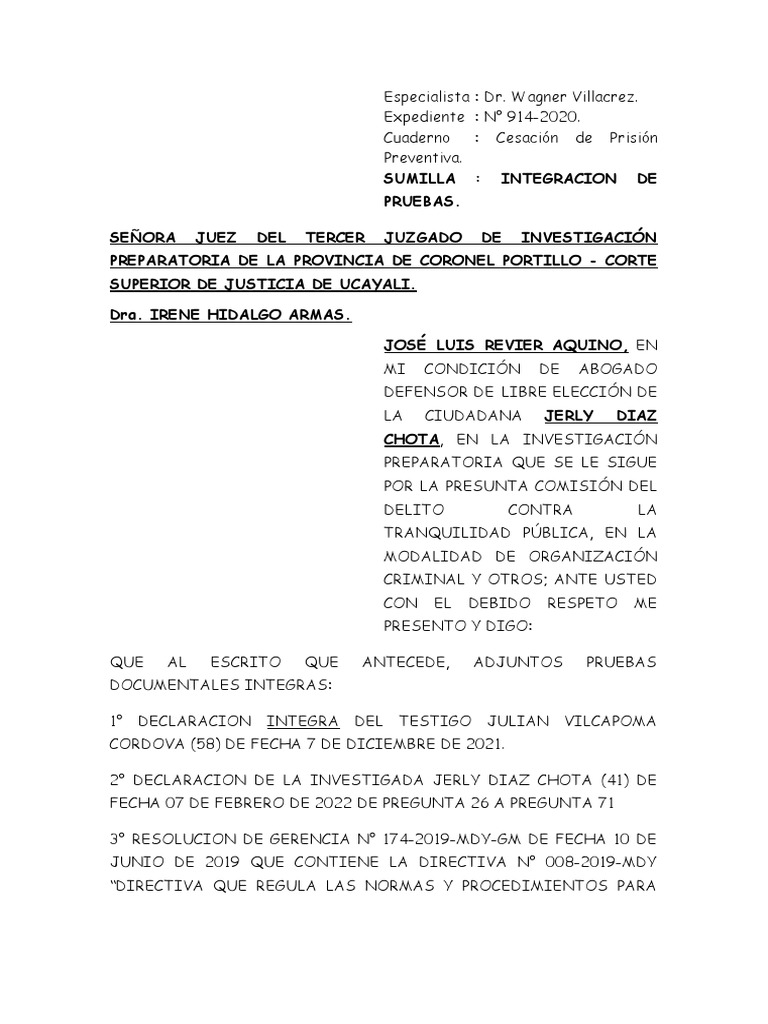 Escrito de Integracion de Pruebas | PDF