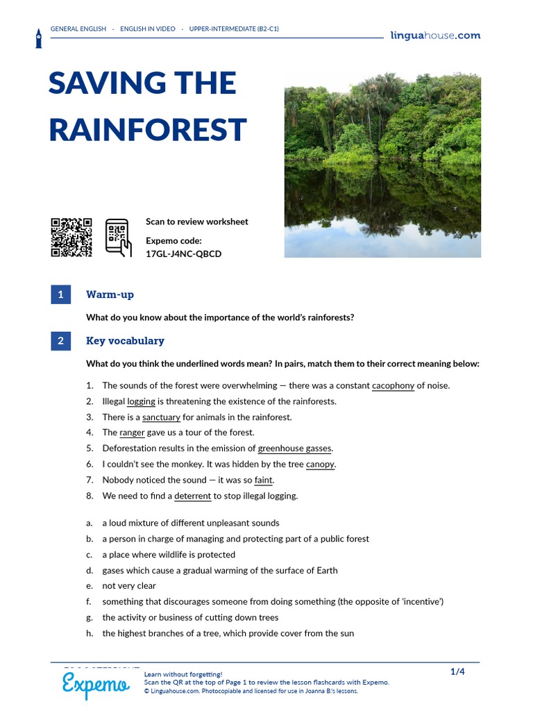 Saving The Rainforest - Key | PDF | Rainforest | Climate Change