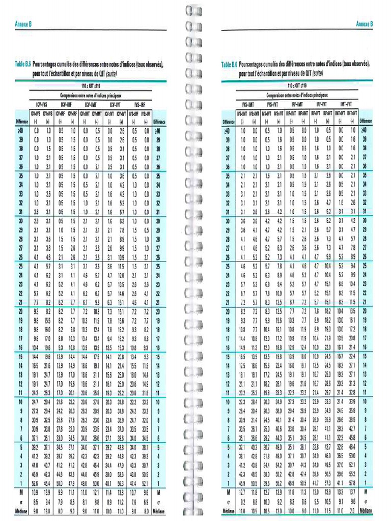 WISC-V Manuel 12 | PDF