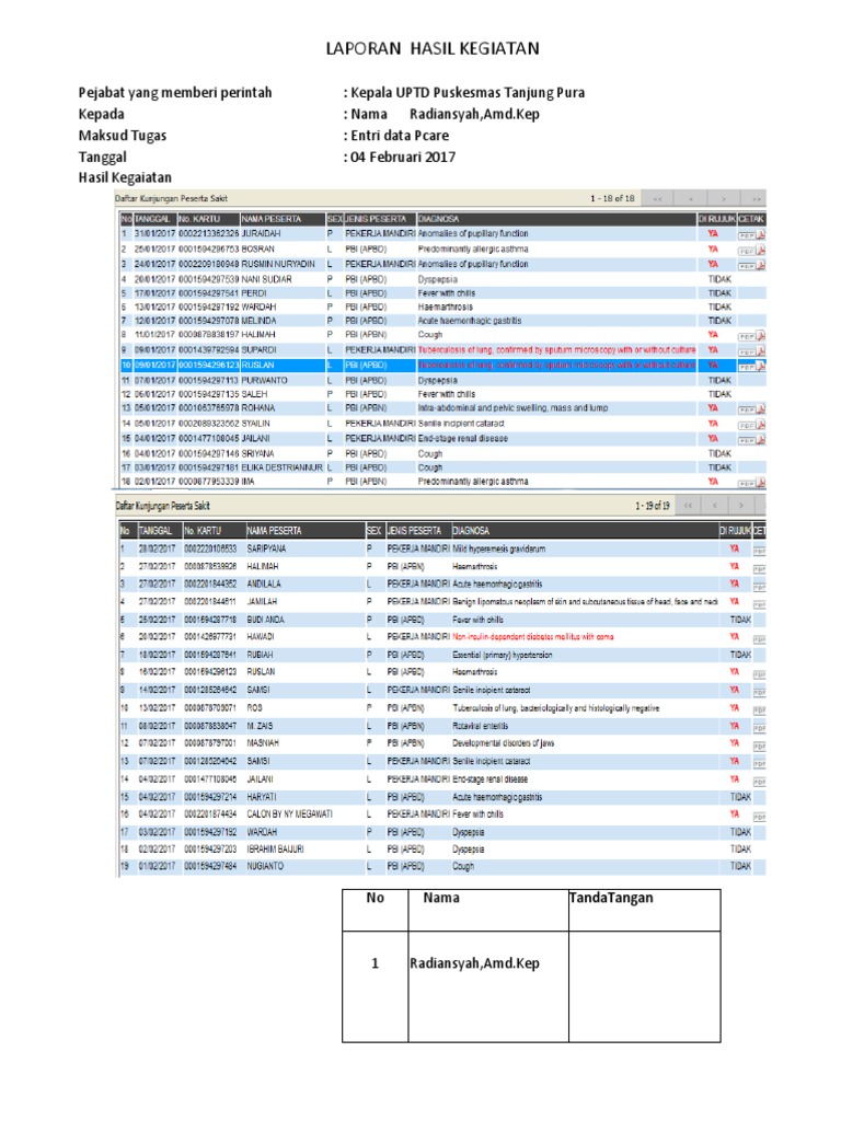 Laporan Entri Data Pcare 2017 | PDF | Pengembangan Diri | Kesehatan ...