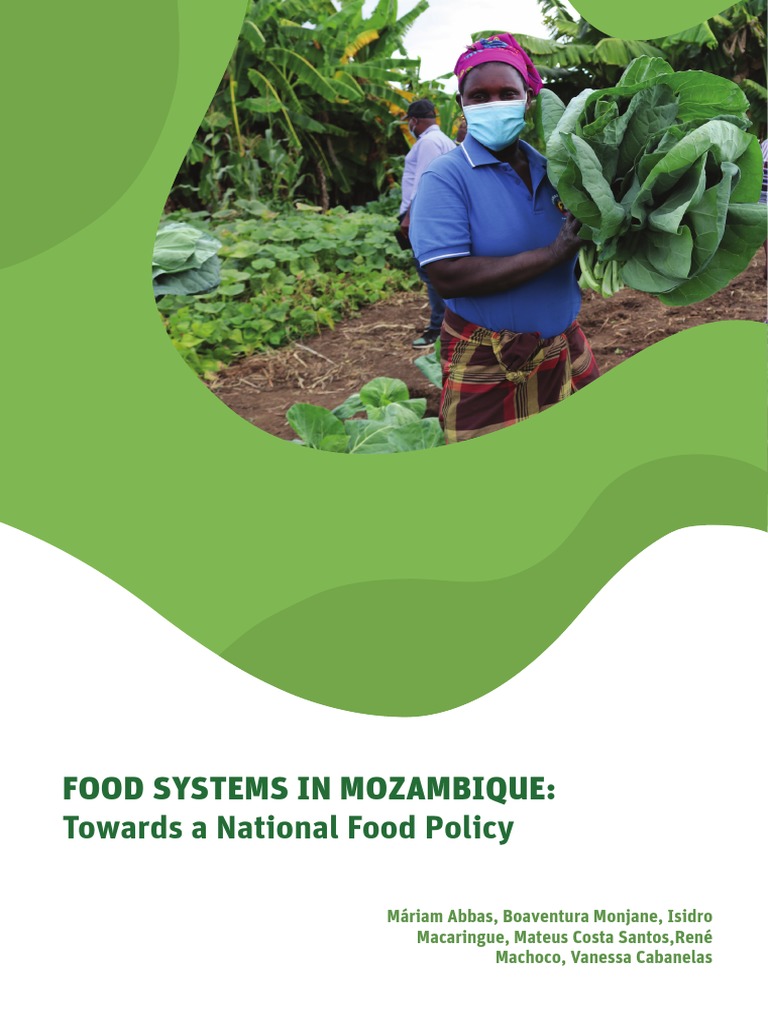 Food Systems in Mozambique - OMR 2021 | PDF