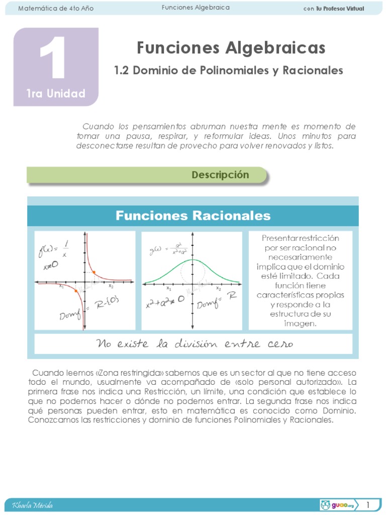 Funciones Algebraicas. Dominio de Polinomiales y Racionales | PDF | Función (Matemáticas ...