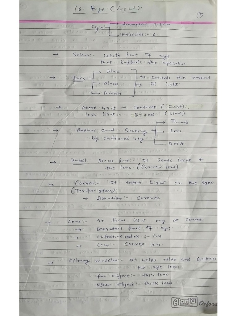 Class 8 Science Note | PDF