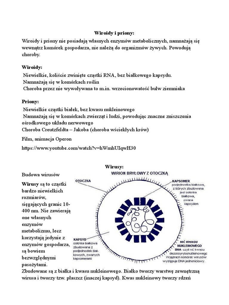 Wirusy I Priony | PDF