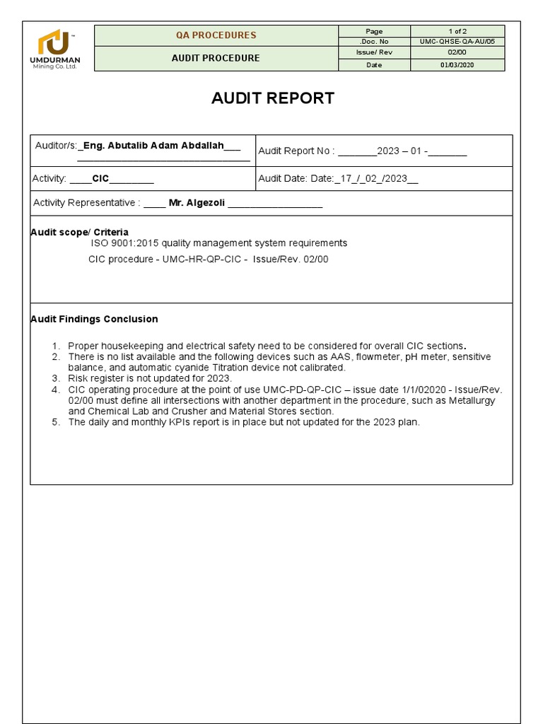 CIC Audit Report | Download Free PDF | Audit | Business