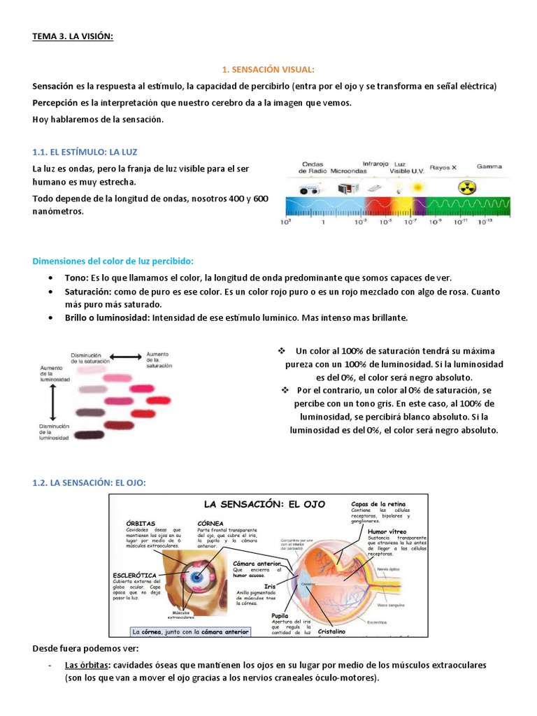 Tema 3 Visión Entero | PDF | Percepción visual | Ojo humano