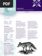 Printable American Sign Language Flashcards