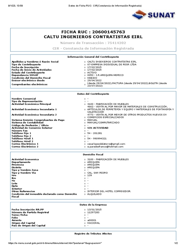 Ficha Ruc Caltu | PDF | Economias | Industrias de servicio