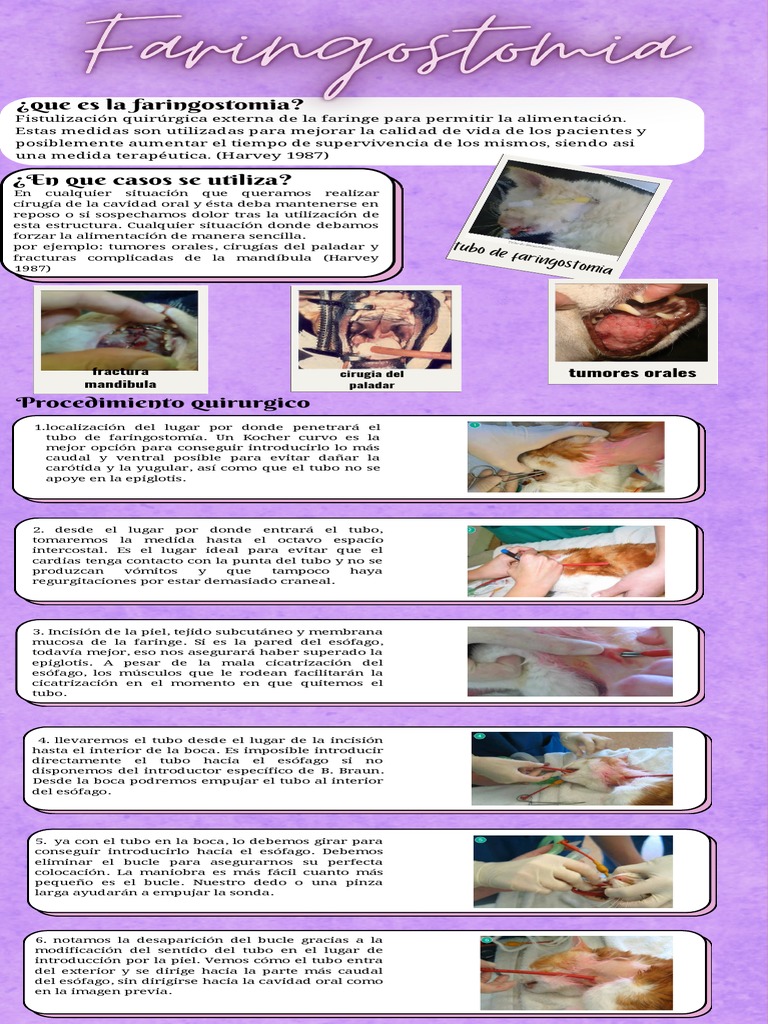 Faringostomia | PDF | Cirugía | Esófago