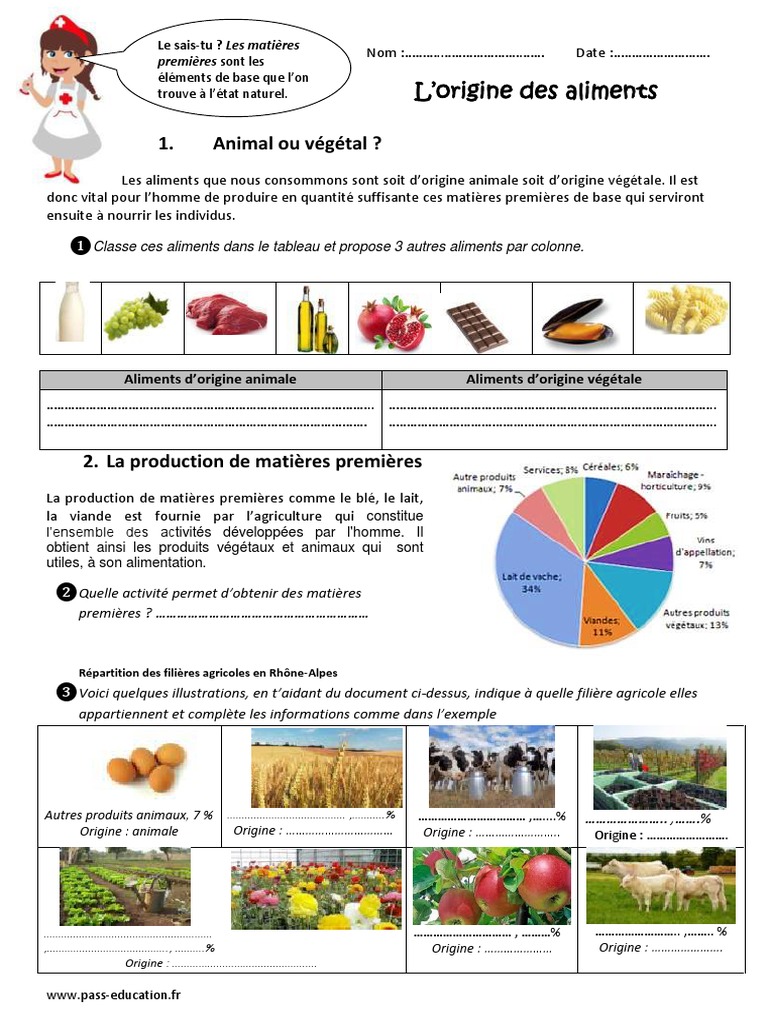 Origine des Aliments : Animal ou Végétal | PDF | Agriculture | Nourritures