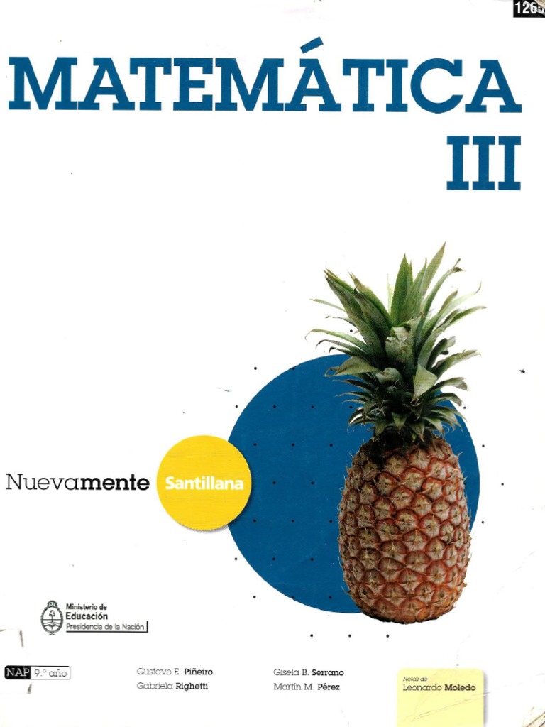 Matemática III Nuevamente - Santillana | PDF