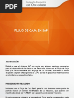 Manual de Uso de FEBA en SAP | PDF | Point and Click | Contabilidad