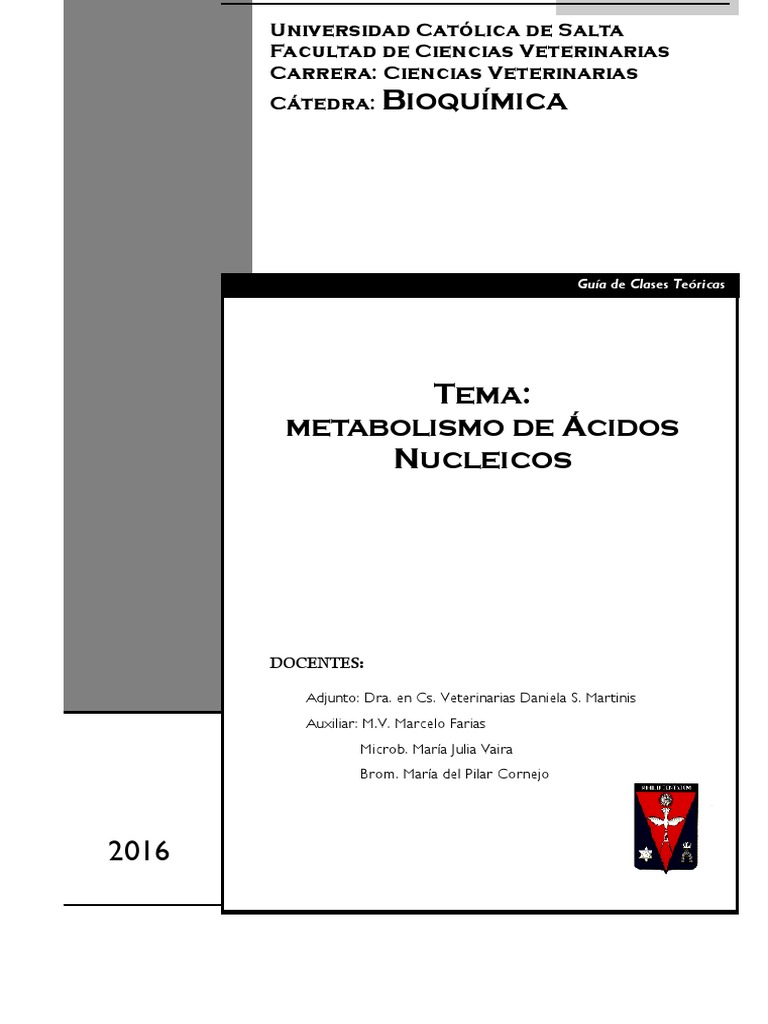 7 Metabolismo de Acidos Nucleicos 2016 | PDF | Rna | Adn