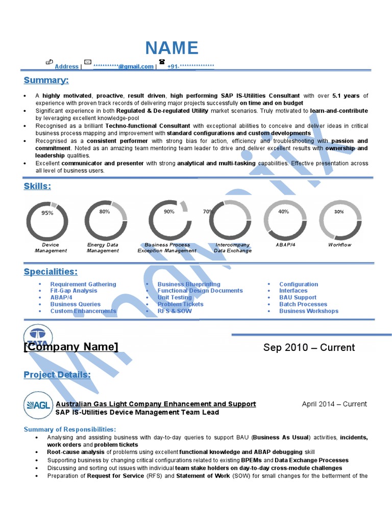 SAP IS-Utilities Consultant Profile | PDF | Business | Computers