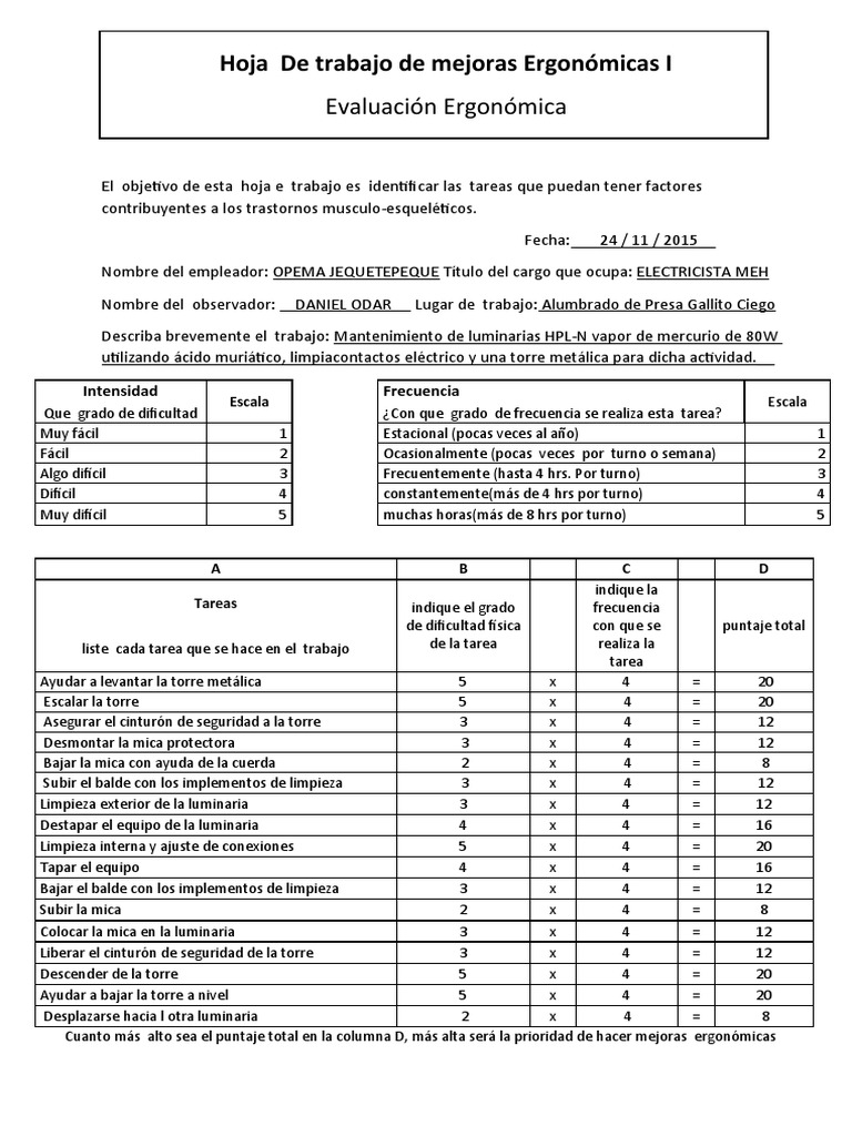 Formato Ergonomia | PDF