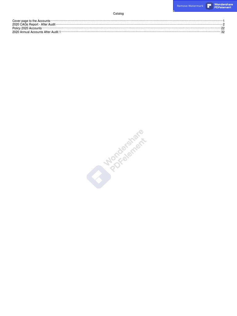 2020 Annual Fin STMT | PDF | Expense | State Owned Enterprise