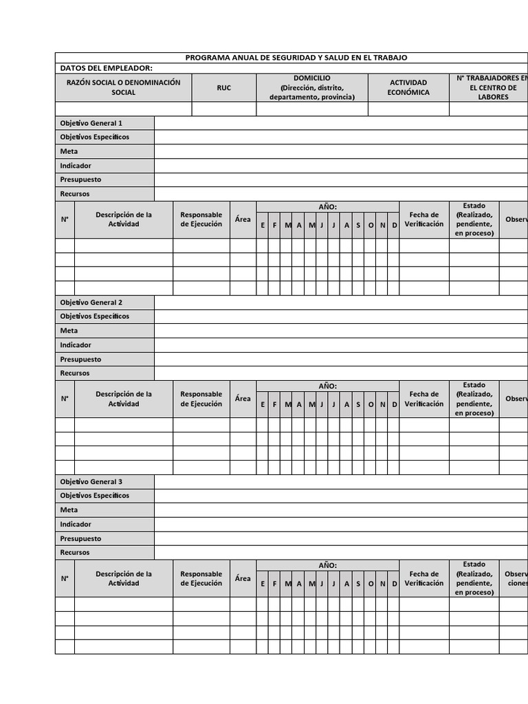 programa-anual-de-sst-pdf