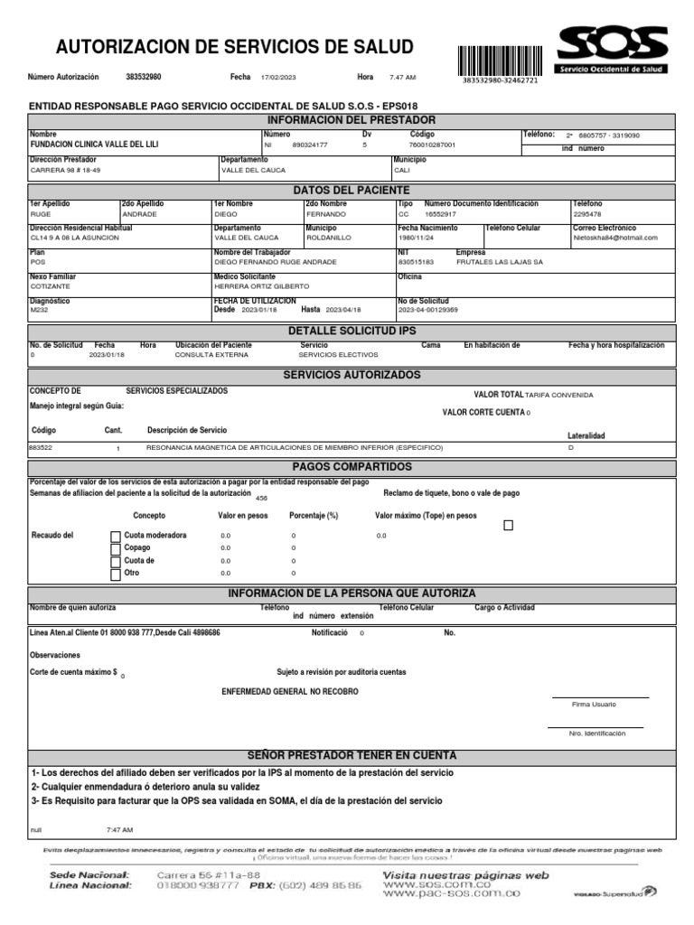 Autorizacion de Servicios de Salud: Informacion Del Prestador | PDF | Cuidado de la salud | Medicina