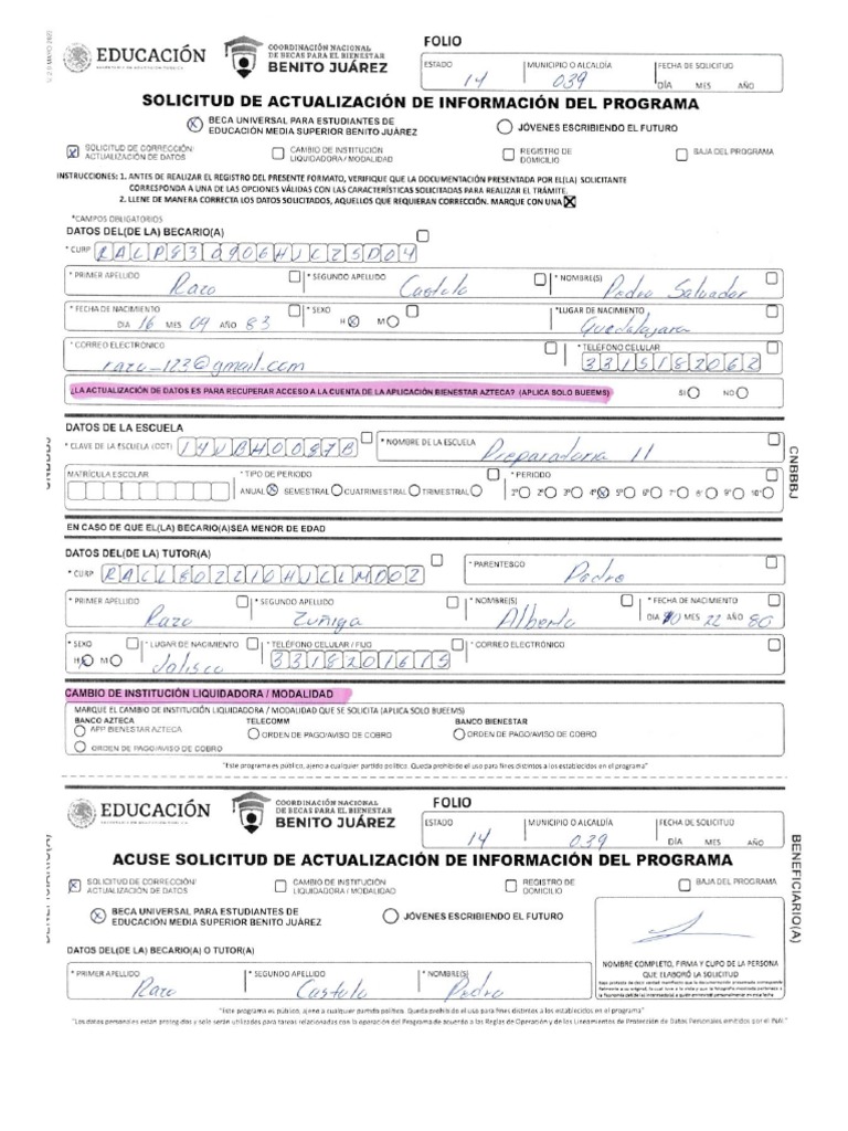 Ejemplo de Como Llenar Los Formatos | PDF