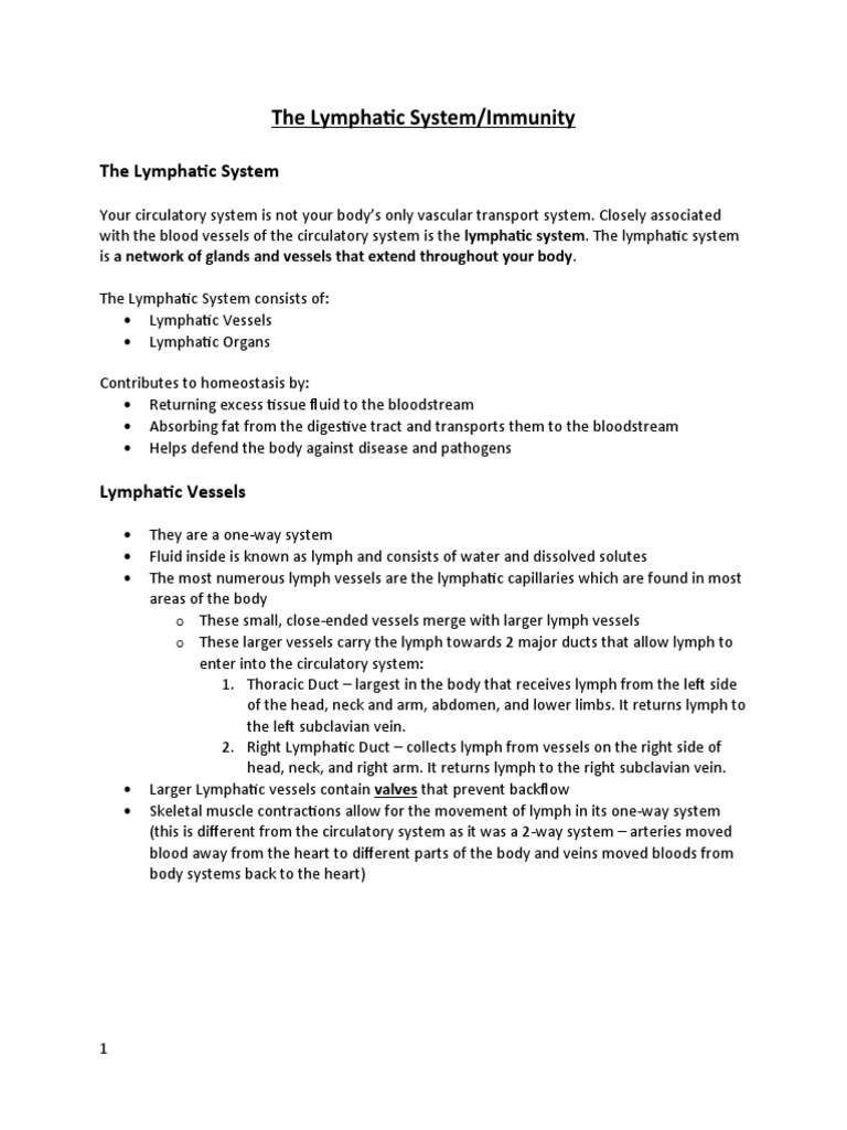 The Lymphatic System Notes Student | PDF | Lymphatic System | Immune System