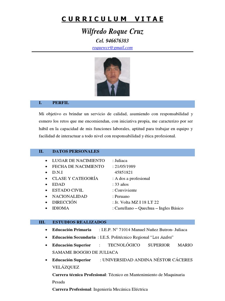 Curriculum Vitae Documentado | PDF | Ingeniería