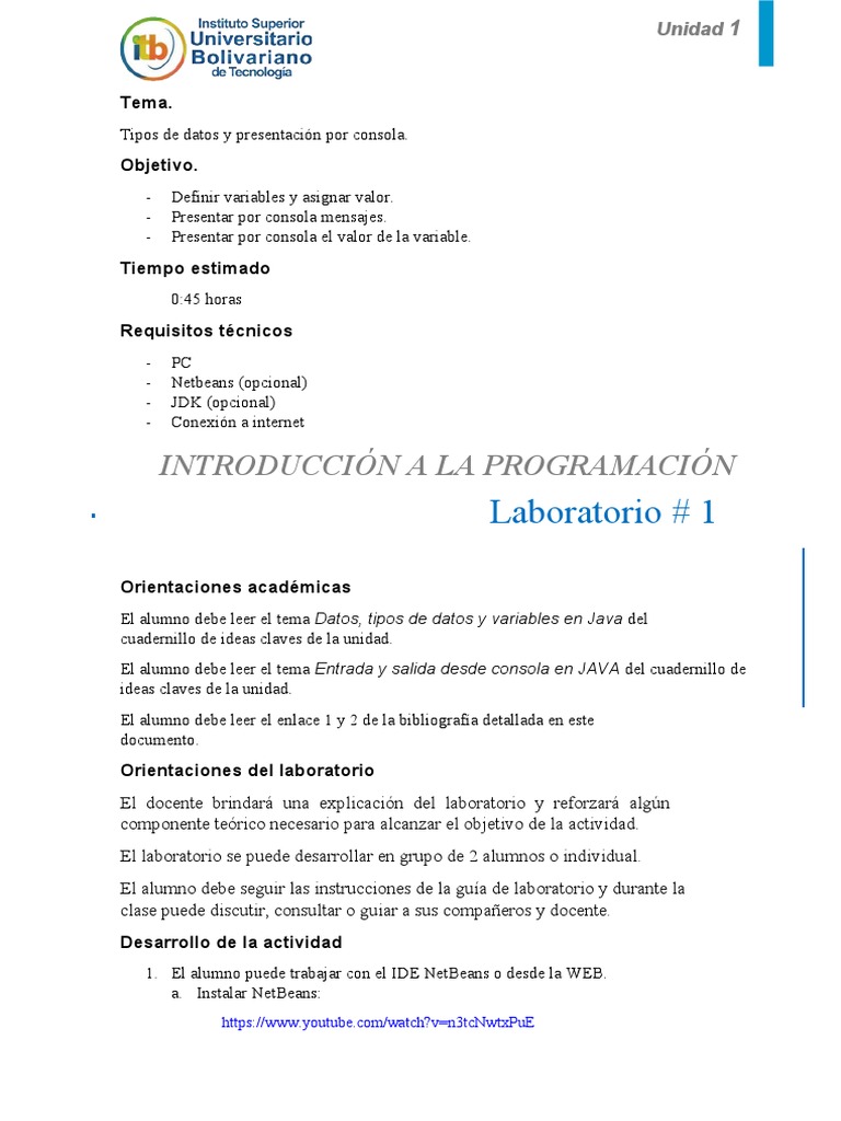 Taller - Laboratorio 1 | PDF | Java (lenguaje de programación) | Programación