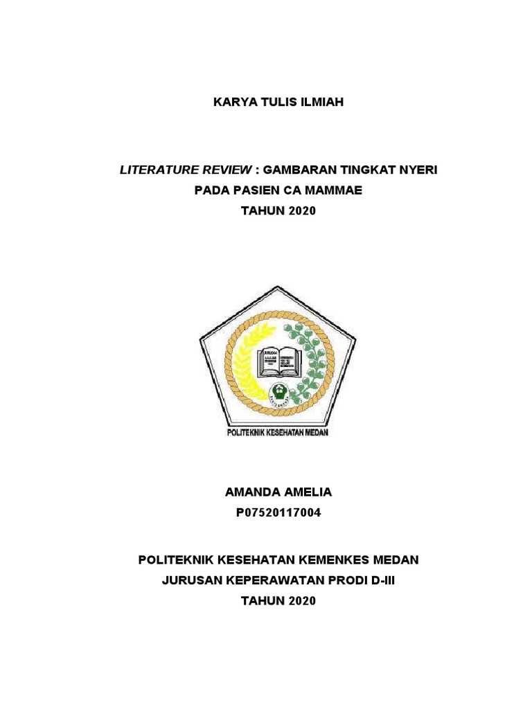 Literatur Review Amanda Amelia | PDF | Pengembangan Diri | Sains ...