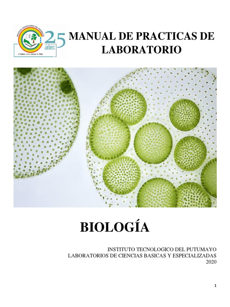 Manual de Practicas de Laboratorio de Biología | PDF | Mitosis | Mitosis