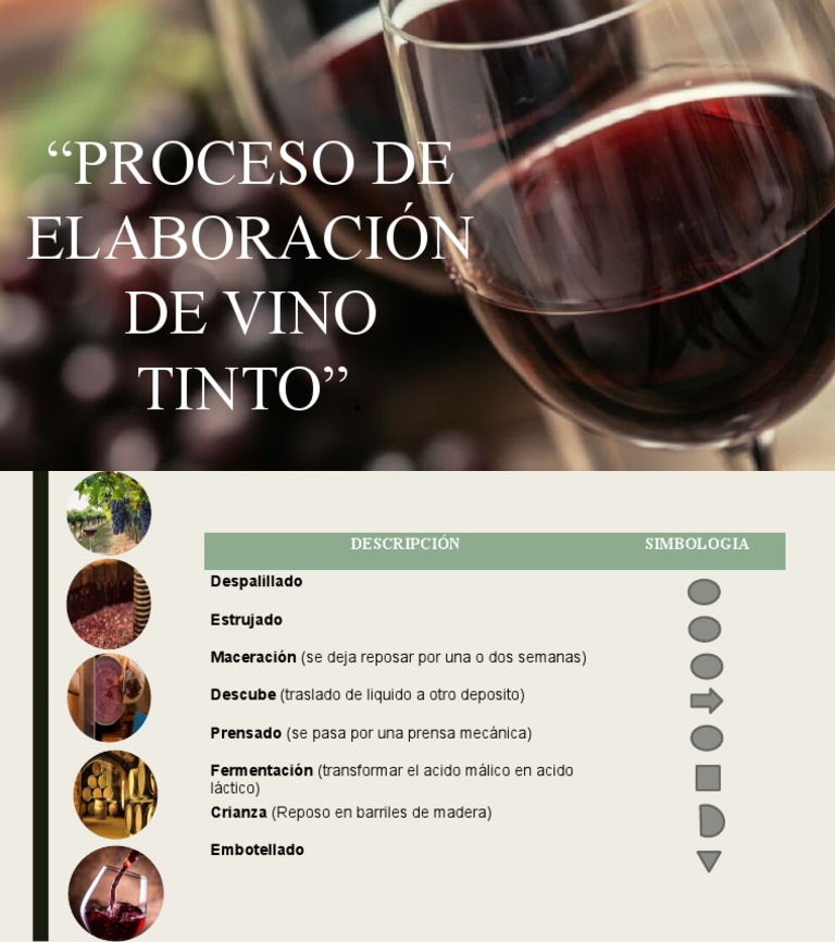 "Proceso de Elaboración de Vino Tinto". | PDF