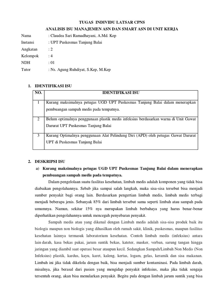 Tugas Individu Analisis Isu | PDF