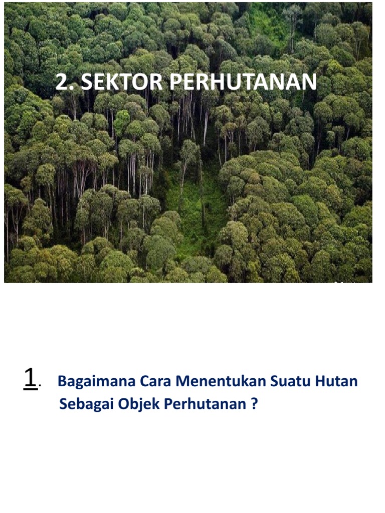 Sektor Perhutanan Ok | PDF