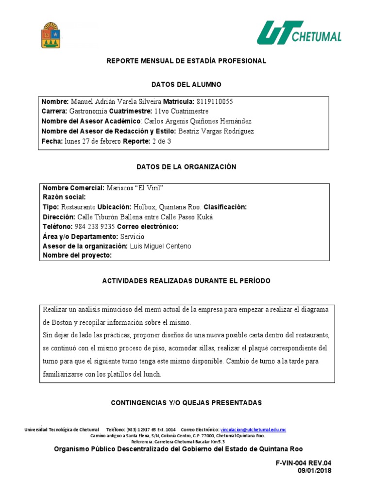 Reporte Mensual 2 | PDF