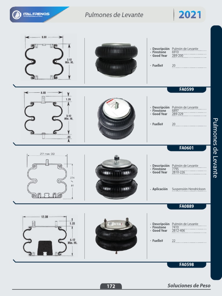 54 55 56 Pulmones de Suspension Compressed | PDF