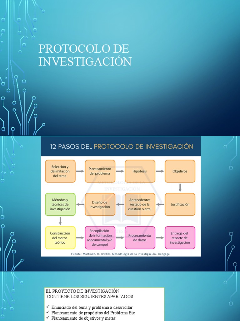 Protocolo de Investigación Detallado | PDF | Arte