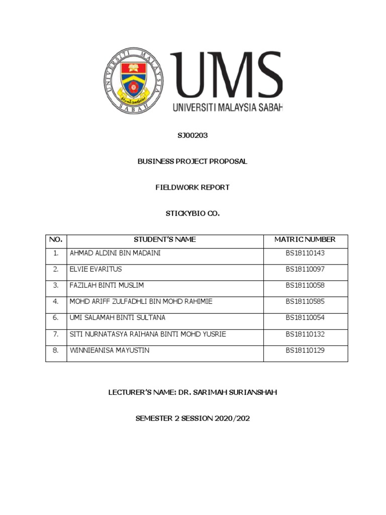 Fieldwork Report Business Project Proposal | PDF | Employment | Social Media